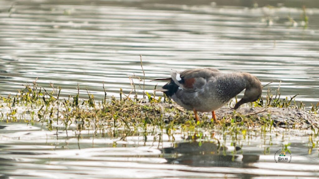 Inside the Red Fort: A Tour of India's Most Iconic Fort - DelhiSnap