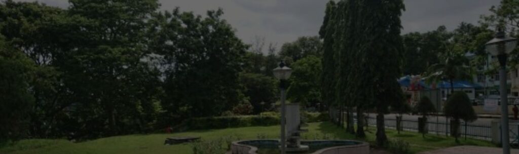 Punjabi Bagh - DelhiSnap