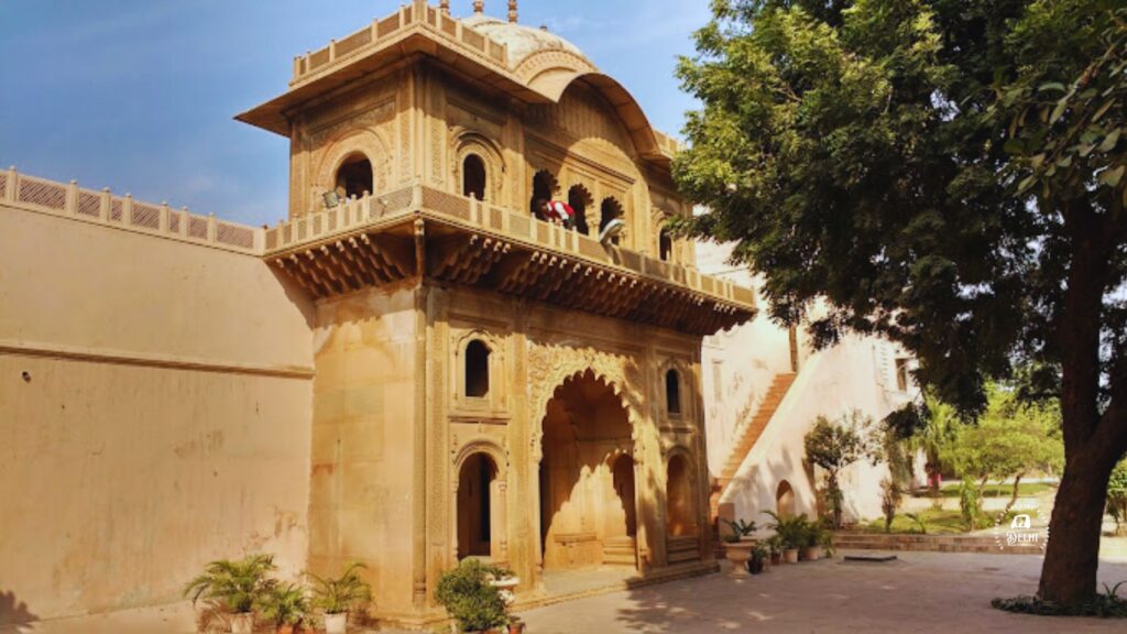 Sanjay Van: A Journey into Delhi Green Sanctuary - DelhiSnap