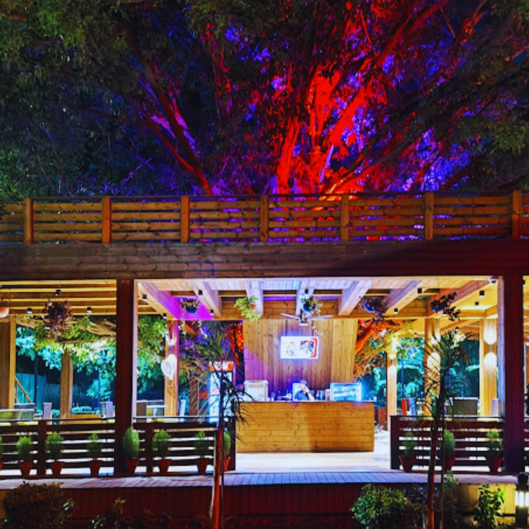 Top 5 Cafes with garden in Delhi - DelhiSnap